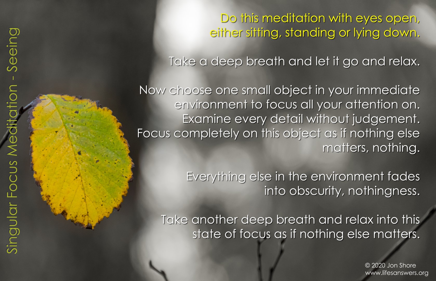 Singular focus meditation leaf | Psychotherapy, Meditation, Mindfulness ...